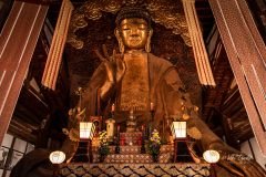 Great Buddha of Shoho-ji - Rare Photos by Viki Pandit